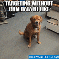 Ad Tech Gifs That Will Have You Nodding (and Laughing) by Goodway Group ...