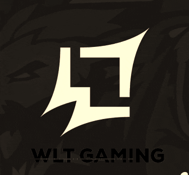 WLTgaming GIFs on GIPHY - Be Animated