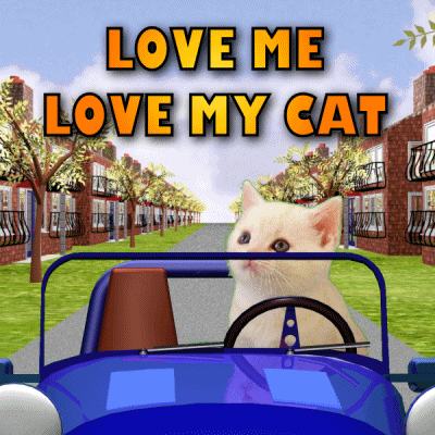 Love Cat Gif