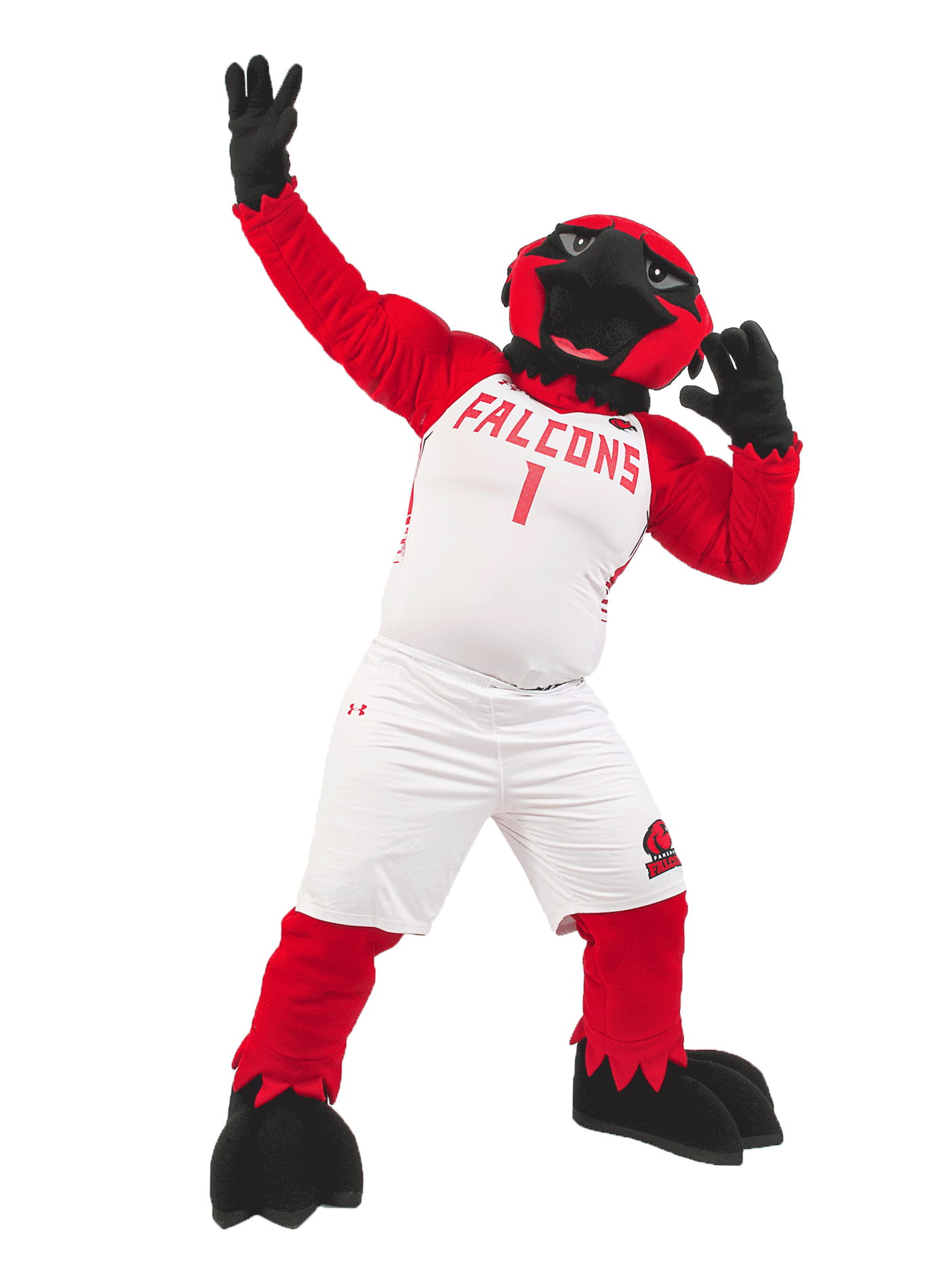 Mascot Falcon Sticker by Fanshawe College for iOS & Android | GIPHY