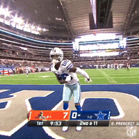 Touchdown Dance Gif