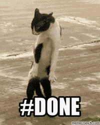 All Done This Meme GIFs - Find & Share on GIPHY