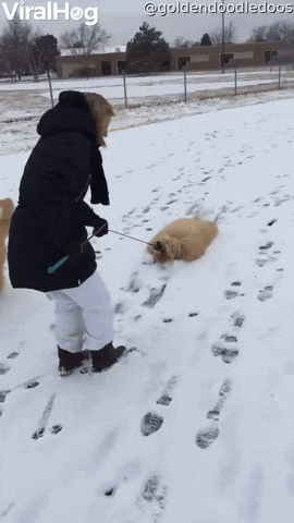 Shoveling Snow GIFs - Find & Share on GIPHY