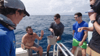 Chum-bucket GIFs - Get the best GIF on GIPHY