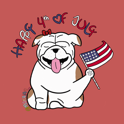 4Th Of July Dog GIF - Find & Share on GIPHY