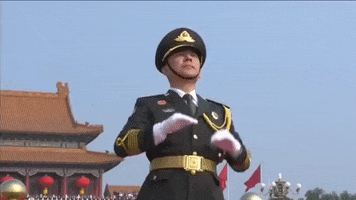 Military Parade GIFs - Find & Share on GIPHY