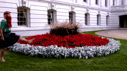 Irish Dancing GIFs - Get the best GIF on GIPHY