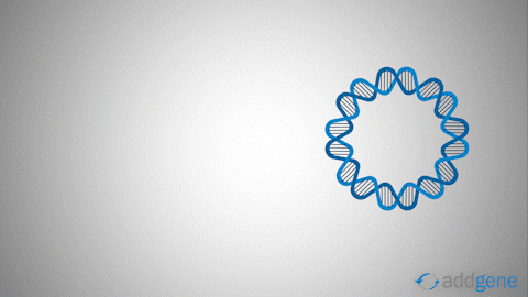 Addgene GIF - Find & Share on GIPHY