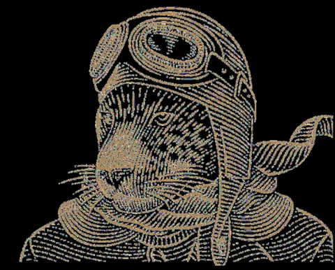 Tiger Pilot GIFs - Get the best GIF on GIPHY