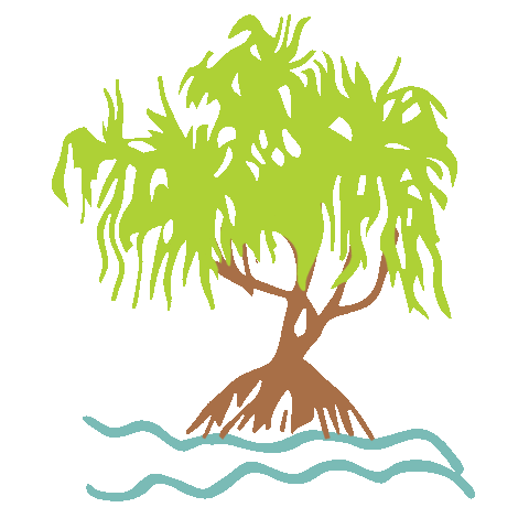 Visit Sunshine Coast GIFs on GIPHY - Be Animated
