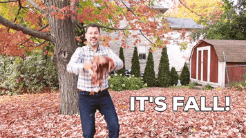 Team Members GIFs on GIPHY - Be Animated