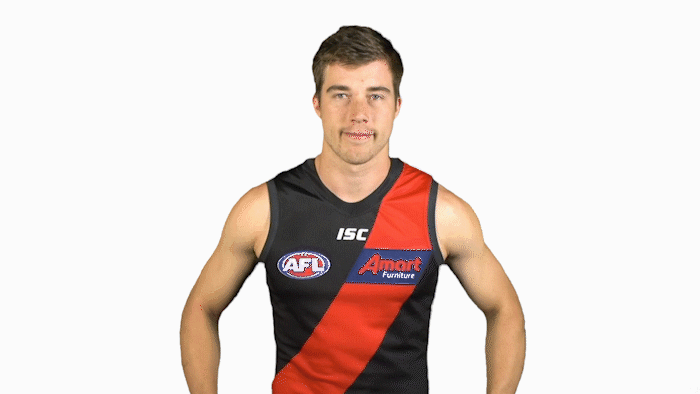 Essendon FC GIF - Find & Share on GIPHY