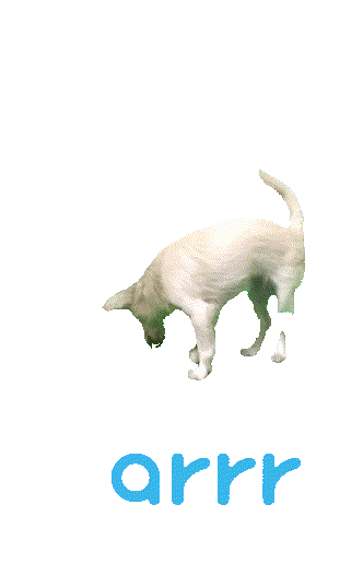 아르르 Sticker by arrr_official for iOS & Android | GIPHY