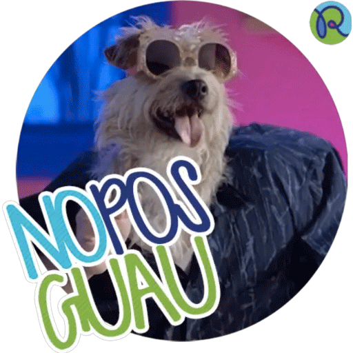 Guau Wow Sticker by Reservamos for iOS & Android | GIPHY