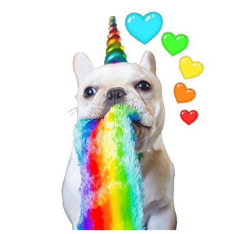 French Bulldog Rainbow Sticker by Oscar The Frenchie for iOS & Android ...