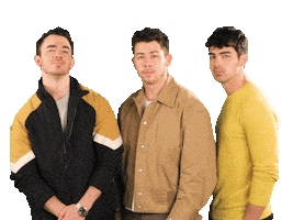 Jonas Brothers GIFs on GIPHY - Be Animated