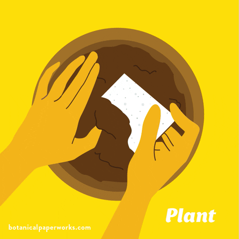 Planting Seed Paper GIF by Botanical PaperWorks - Find & Share on GIPHY