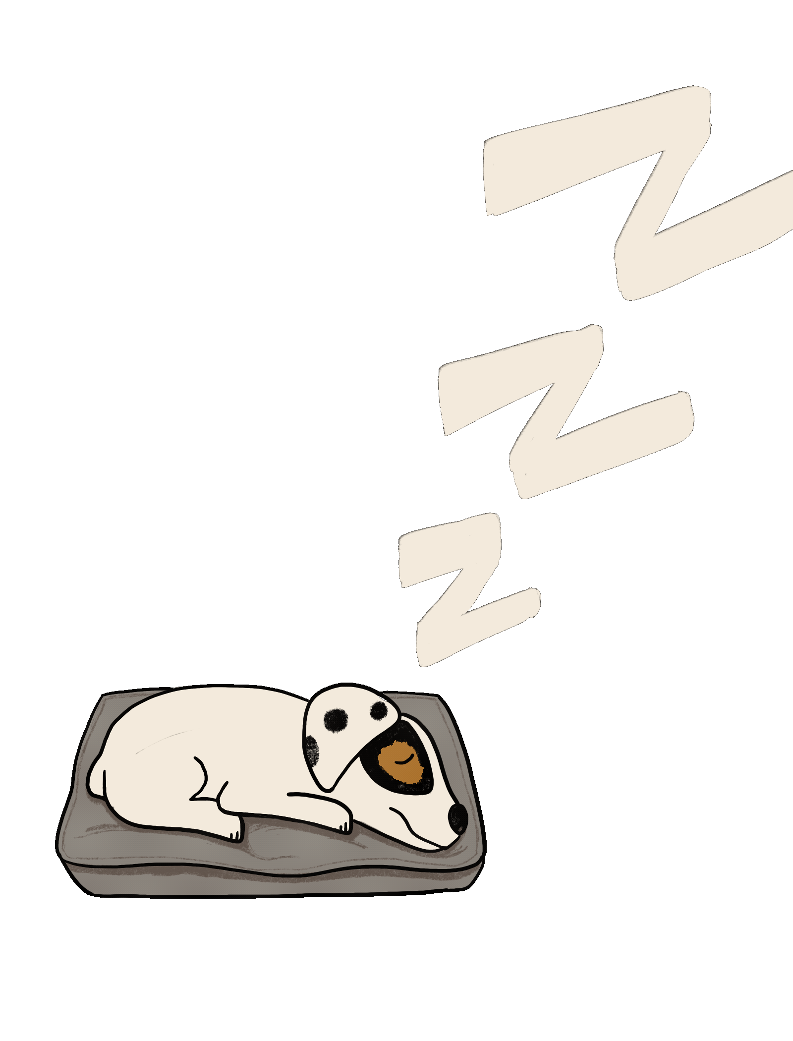 N Animal Animation Gif