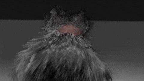 3d-turnaround GIFs - Get the best GIF on GIPHY