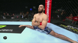 Split GIFs - Find & Share on GIPHY