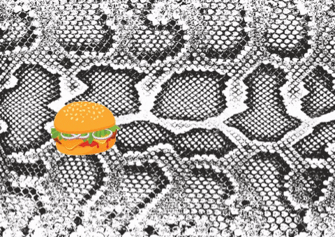 Give Me The Meat GIFs - Get the best GIF on GIPHY