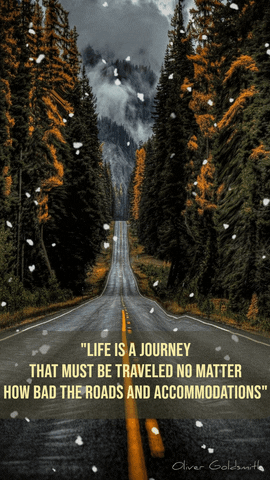 Quote GIF by Positive Programming - Find & Share on GIPHY