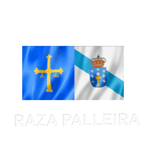Raza Palleira GIFs on GIPHY - Be Animated