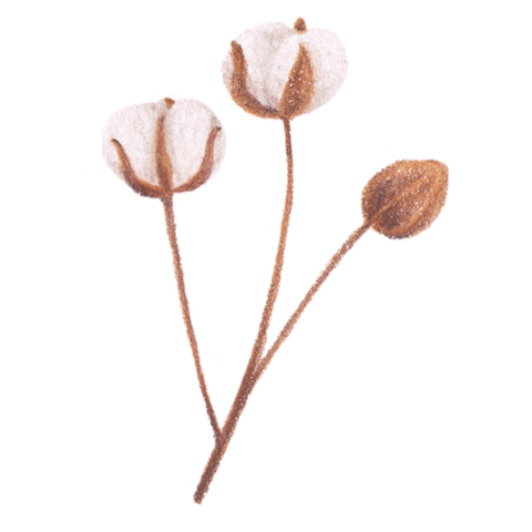 Cotton Sticker for iOS & Android | GIPHY
