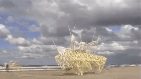 Strandbeest GIFs - Find & Share on GIPHY