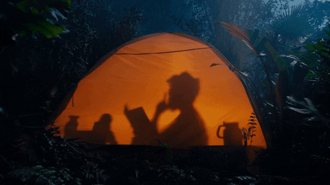 Rain Forest GIF by Betclic Polska - Find & Share on GIPHY