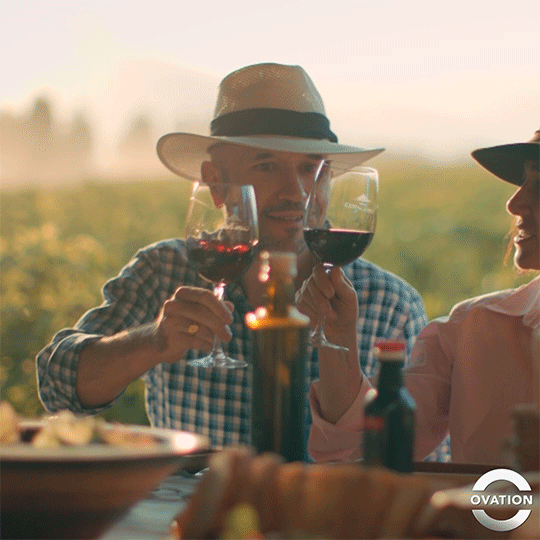 Red Wine Cheers GIF by Ovation TV - Find & Share on GIPHY
