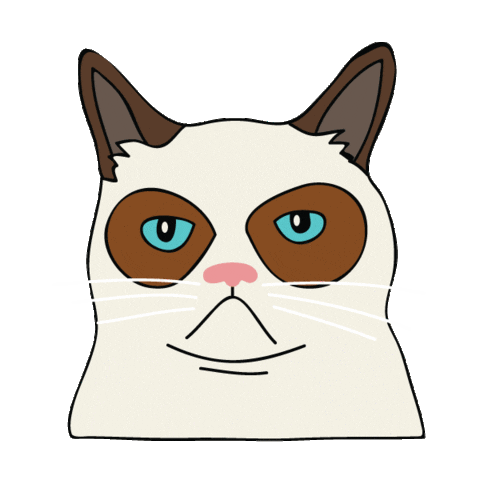 Cute Cat Stickers! by Stickers | GIPHY