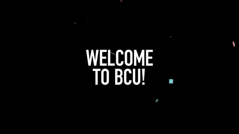 Birmingham-city GIFs - Get the best GIF on GIPHY