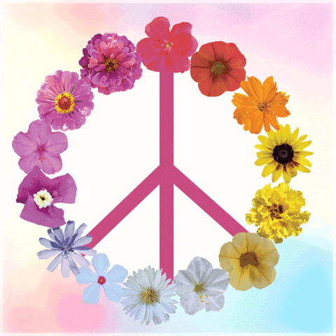 Rainbow Peace GIFs - Get the best GIF on GIPHY