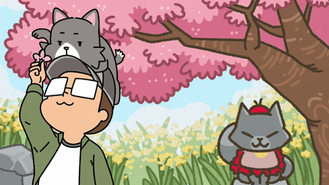 Cat-background GIFs - Get the best GIF on GIPHY