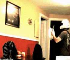 Spider Scare GIFs - Find & Share on GIPHY