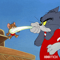 Tom And Jerry Running Gif