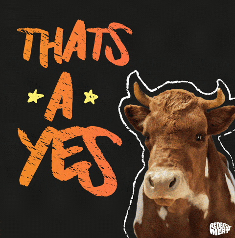 Cow Meatlover GIF by Redefine Meat - Find & Share on GIPHY