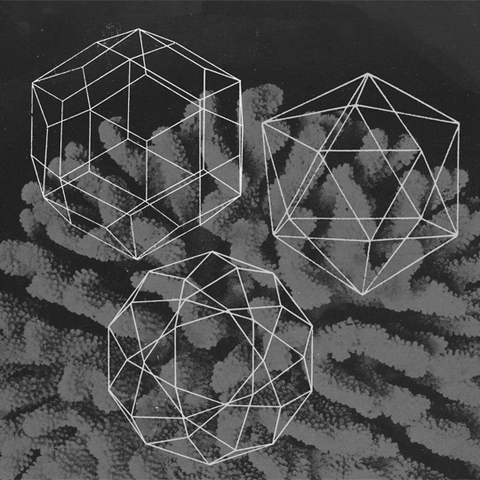 Public-domain GIFs - Find & Share on GIPHY