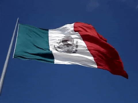 Mexican Flag Waving Gif