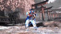 Ryu Vs Ken Gif