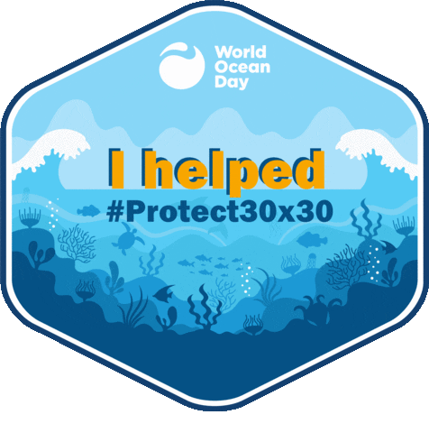 World Ocean Day GIFs - Find & Share on GIPHY