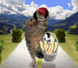Cats-and-hood GIFs - Get the best GIF on GIPHY