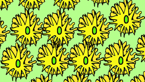 Jimmy Snuka Love GIF by Dax Norman - Find & Share on GIPHY