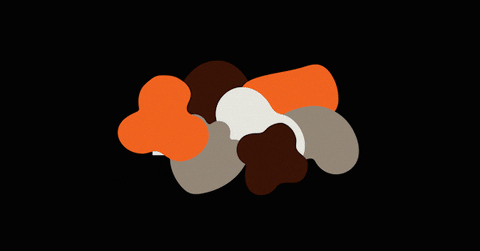 Profitable Pilates GIFs - Get the best GIF on GIPHY