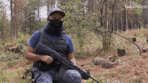 Autonomous GIFs - Get the best GIF on GIPHY