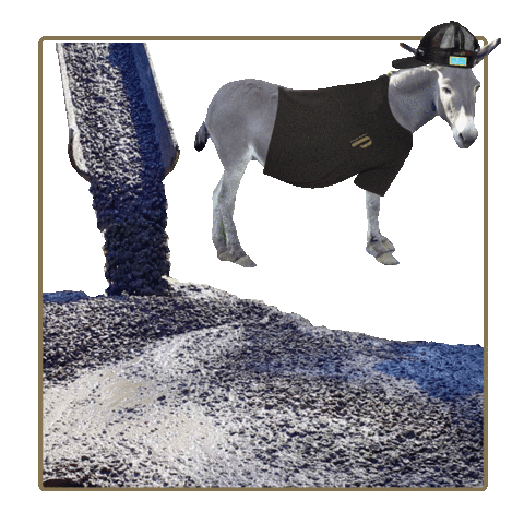 Purple Patch Fitness GIFs on GIPHY - Be Animated