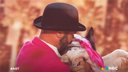 America's Got Talent GIFs - Find & Share on GIPHY