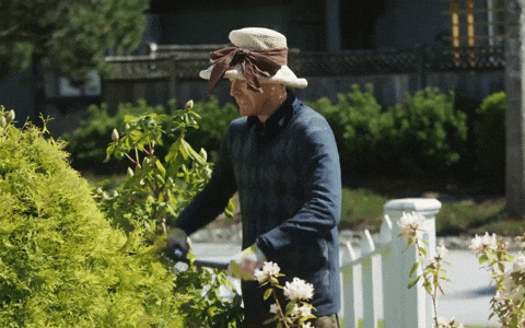 Plants Garden GIF by IFHT Films - Find & Share on GIPHY