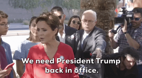 Election Day Lake GIF by GIPHY News - Find & Share on GIPHY